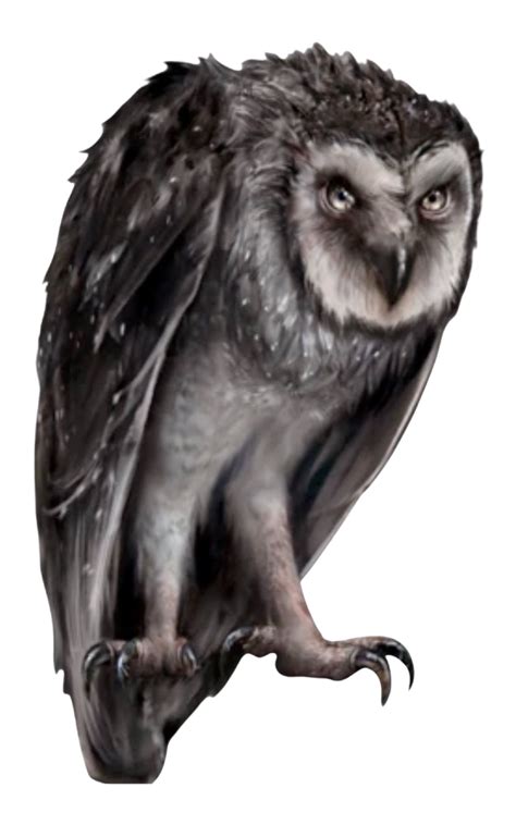 Metal Beak By Dracoawesomeness On Deviantart