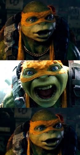 Ninja Turtle Face Memes