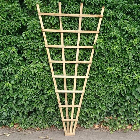 Fan Trellis East Ferry Timber