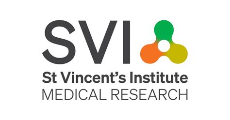 Methods For Robust Comparisons Between Highly Heterogeneous Spatial Transcriptomics Samples Svi