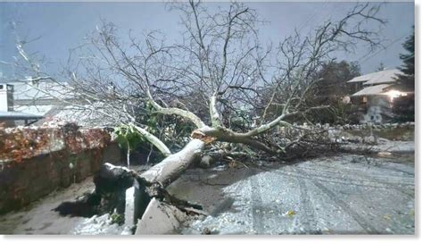 GISMETEO: Мощный ураган пронесся по Болгарии: погибли 2 человека