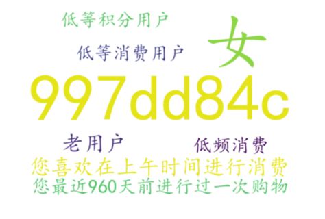 Python用户画像数据分析系统csdn Python 客户画像 Csdn博客