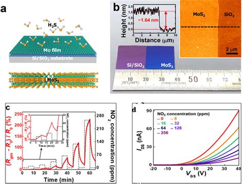 A Schematic Representation Of Two Step Synthesis Process Of Mos2 B Download Scientific
