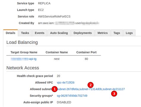Amazon Web Services Aws Ecs Docker Container Cannot Reach The