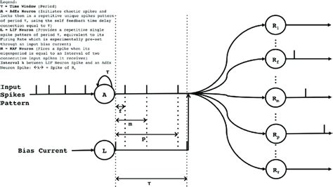 Neural Network Architecture Spikes Are Represented With Vertical Bars Download Scientific