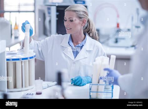 Mid Adult Woman In Laboratory Inserting Test Tube Into Tray Stock Photo Alamy