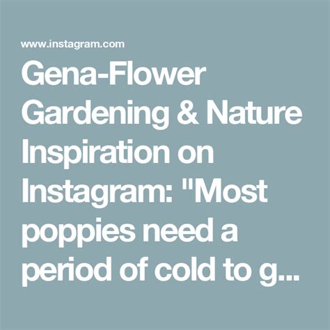 Gena Flower Gardening And Nature Inspiration On Instagram Most Poppies