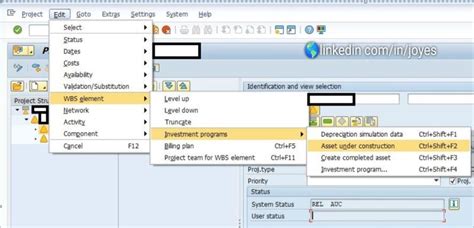 Joyes Pramanik On Linkedin Sapfi Sapps Sappm Sapeam Pm Eam Assetaccounting Auc