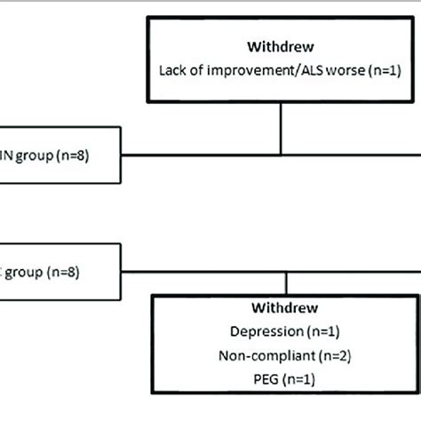 Flow Chart Of Participants From Random Assignment To Interventions