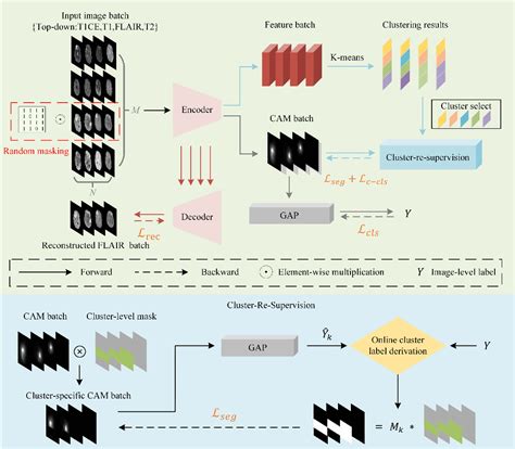 Figure 2 From Cluster Re Supervision Bridging The Gap Between Image