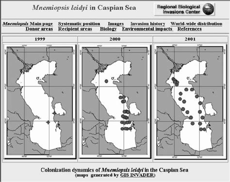 Example Of Web Page From The Entry On Mnemiopsis Leidyi In The