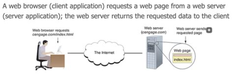 Mod01 Introduction To Networking Section 12 Client Server