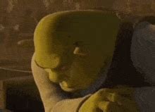 S De Shrek Meme Tenor