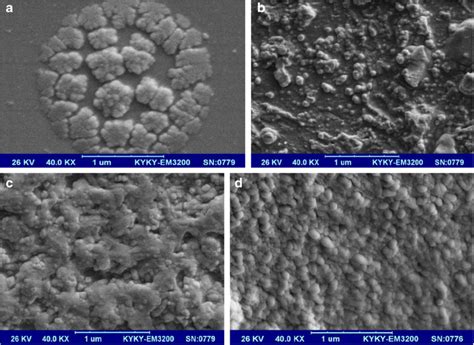 Scaning Electron Microscopy Sem Micrographs Of Cs A And Csma