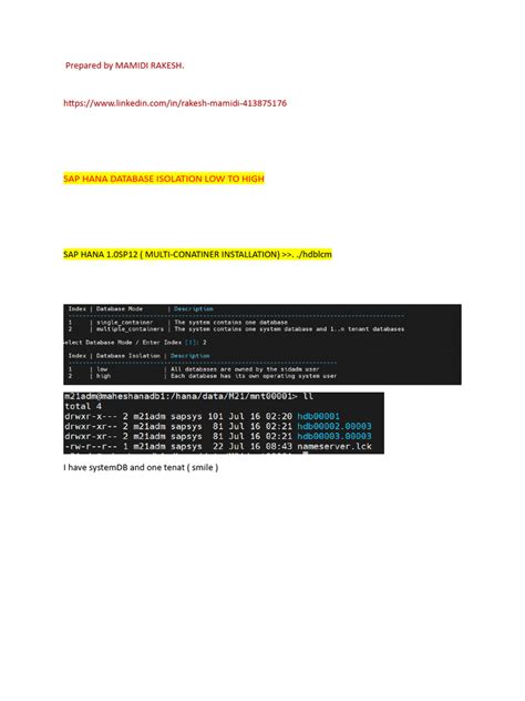 Sap Hana Database Isolation Low To High Pdf