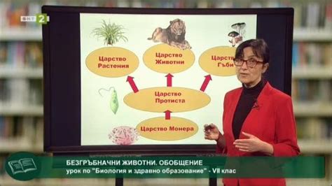 Биология и здравно образование 7 клас Безгръбначни животни Обобщение Българска национална