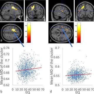 The Main Positive Effects Regardless Of Sex Of The EQ Score Across Download Scientific