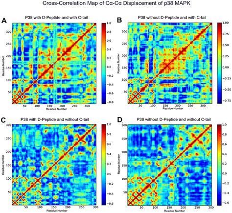 Cross Correlation Map Of Cα Cα Displacement Of P38α In A Download Scientific Diagram