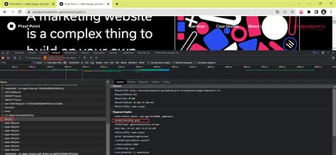 Gzip Does Not Work For Riv Files On Gatsby Hosting With Custom Domains