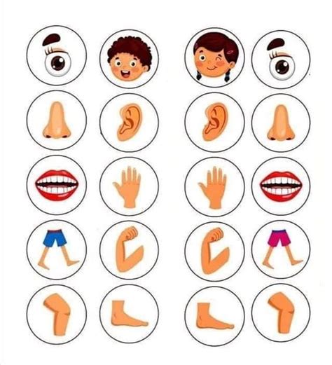 როგორ ვასწავლოთ ბავშვებს განმავითარებელი აქტივობები