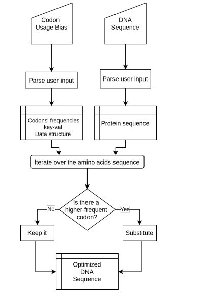 Insilico Codon Bias Correction For Transgenic Biological Protein Sequences For Vaccine
