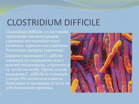 CLOSTRIDIUM DIFFICILE Pptx