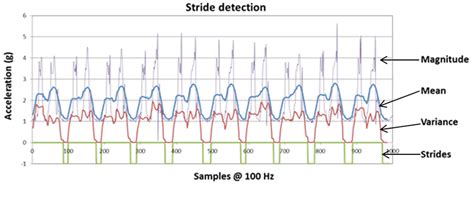 Stride Detection Process Download Scientific Diagram