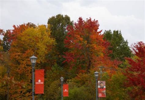 Its The Season To Fall For Uva Wise Uva Wise