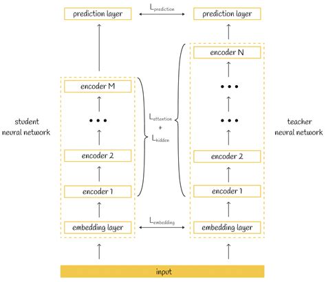 Large Language Models Tinybert Distilling Bert For Nlp Towards Data Science
