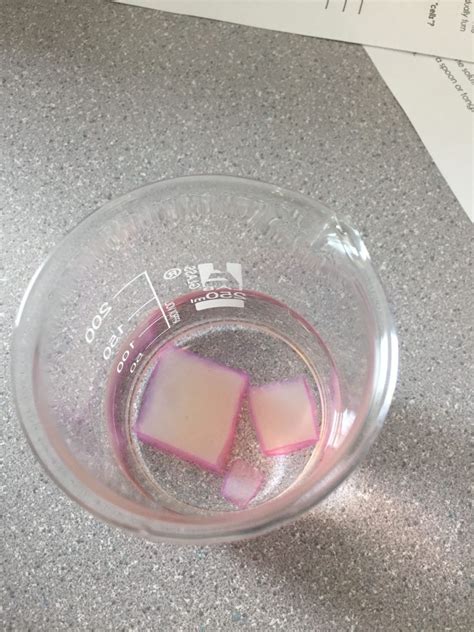 Diffusion In Agar Cubes Cell Size Lab Manroops Blog