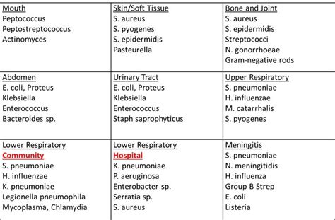Pin By Brittany Clemmons On Pa Bone And Joint Urinary Tract Negativity