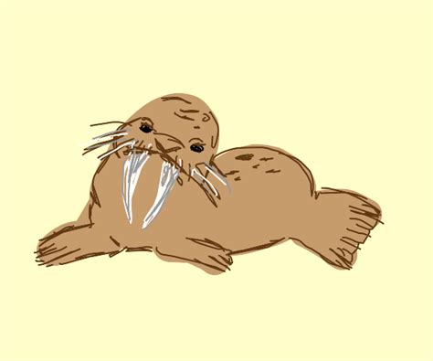 Walrus Drawception