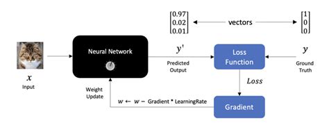Training Neural Networks For Beginners