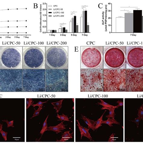 Activation Of The Wnt β Catenin Signalling Pathway Via Lithium Released Download Scientific