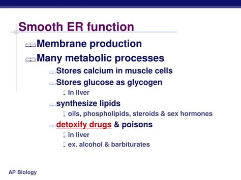 Ppt Types Of Cells Powerpoint Presentation Free Download Id179932