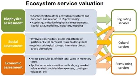 Ecosystem Services Valuation Correcting Conceptual Issues With Carbon