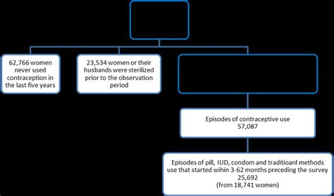 Schematic Presentation Of The Sample Selected Download Scientific Diagram