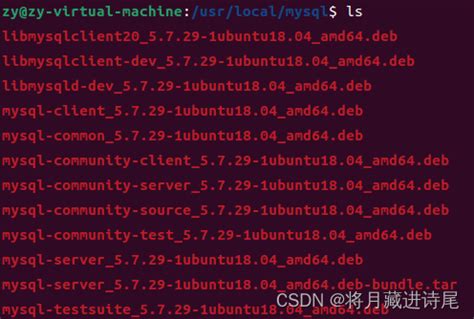 Ubuntu 部署MySQL 详细教程 技术栈