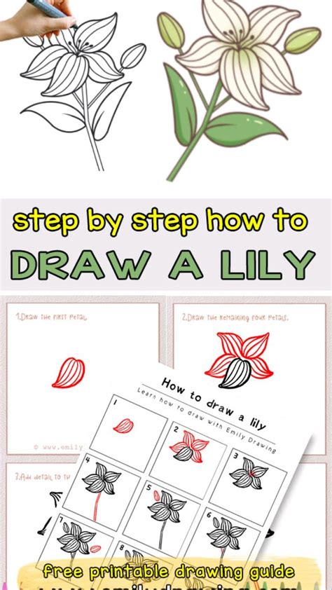 How To Draw A Lily Flower Step By Step Tutorial Drawings Lilies Drawing Line Art Drawings