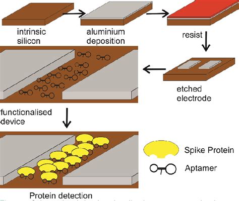 Figure 1 From Feasibility Of A Silicon Thin Film Transistor Based