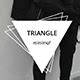 Triangle Minimal Google Slide Template Presentation Templates GraphicRiver