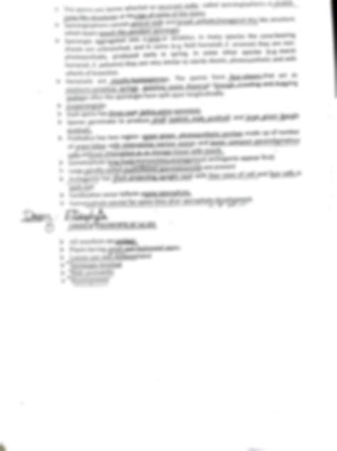 Solution Sphenopsida And Primofilicales Studypool