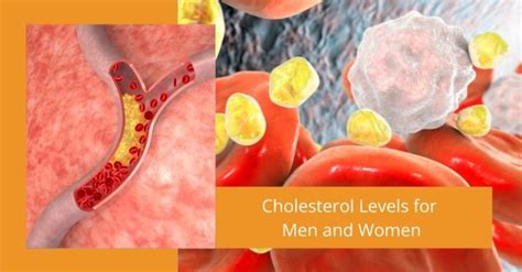 Cholesterol Level Guidelines Archives Aaxcia Health