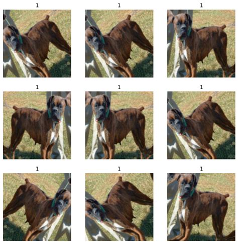 迁移学习与微调 Keras 机器学习库