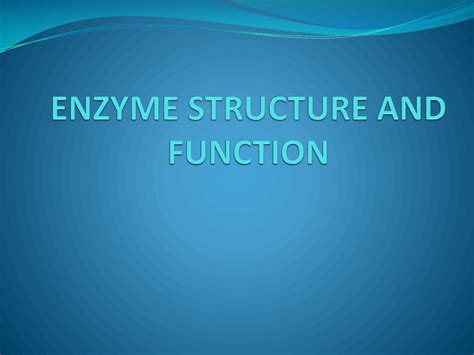 Protein Enzymes Structure And Function At Diana Massey Blog