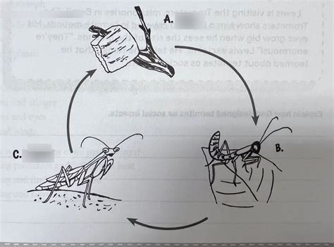 Science Chapter 3 Test Diagram Quizlet