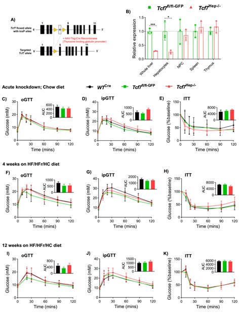 Tcf7 Is Not Essential For Glucose Homeostasis In Mice Pmc