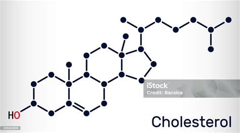 콜레스테롤 분자 그것은 스테롤 수정 된 스테로이드 지질의 종류 모든 신체 조직의 세포 막에서 발견 구조 화학 공식 건강관리와