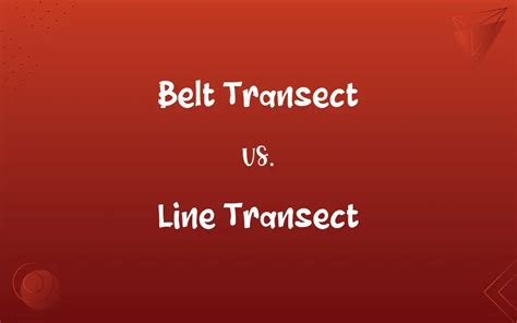 Belt Transect Vs Line Transect Whats The Difference