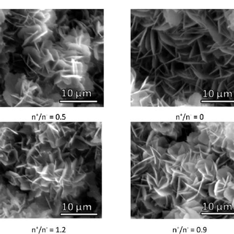 Sem Micrograph Of Caco 3 Composite Microparticles With Pectins Or
